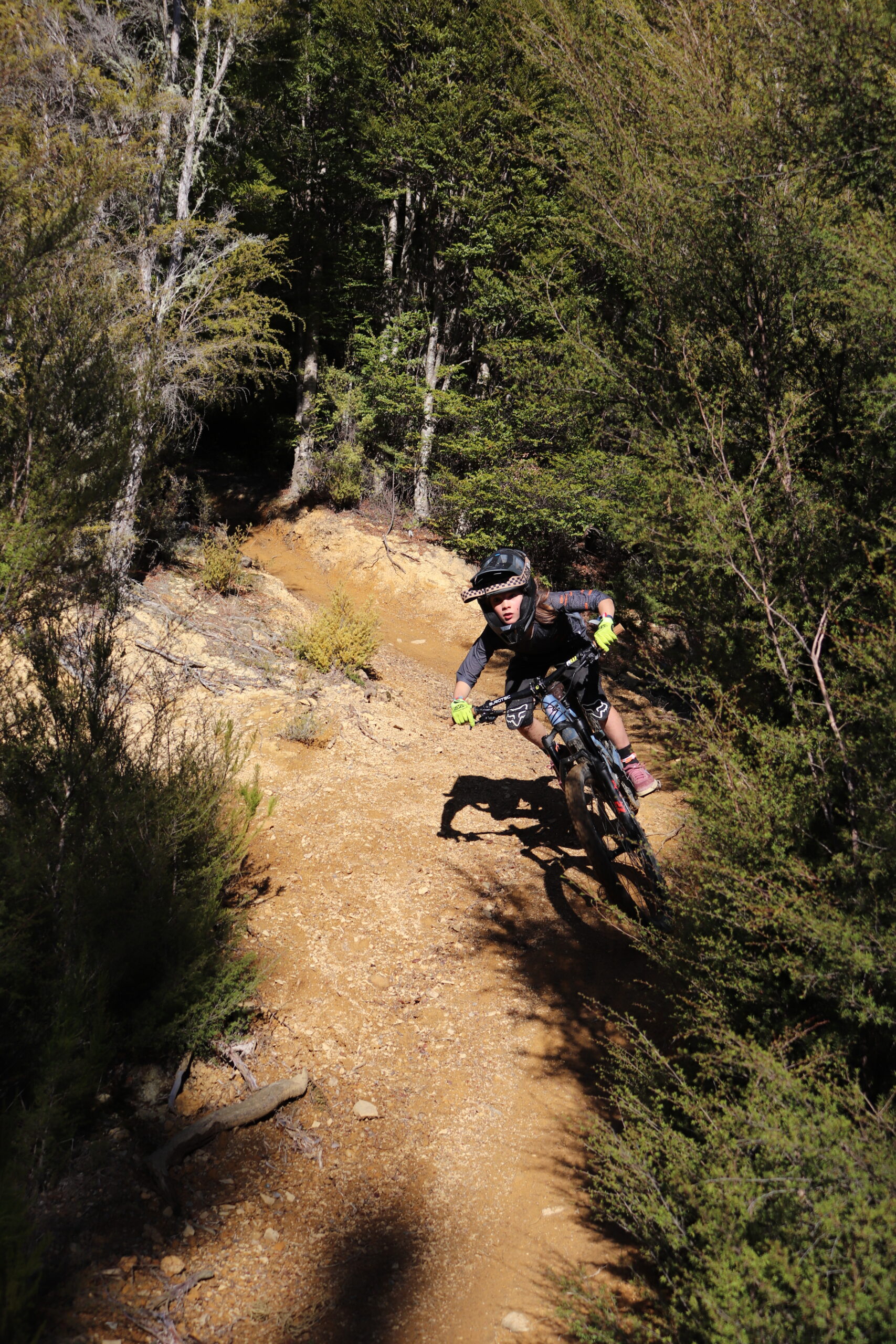 Unleashing the Thrill: Discover the Best Mountain Biking in Nelson, New ...